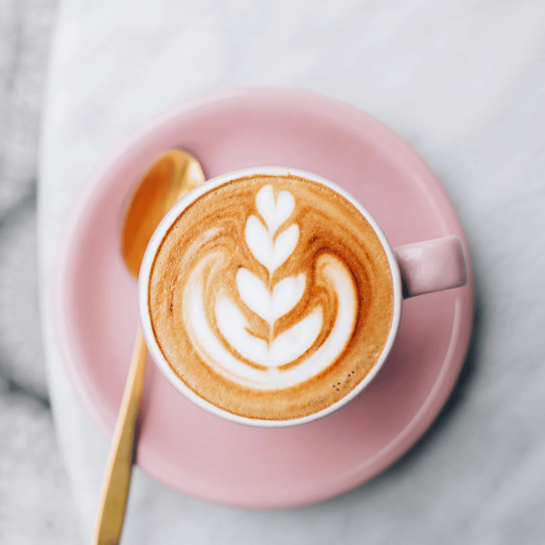 Latte – Mandy Spring Farm Nursery, Inc.