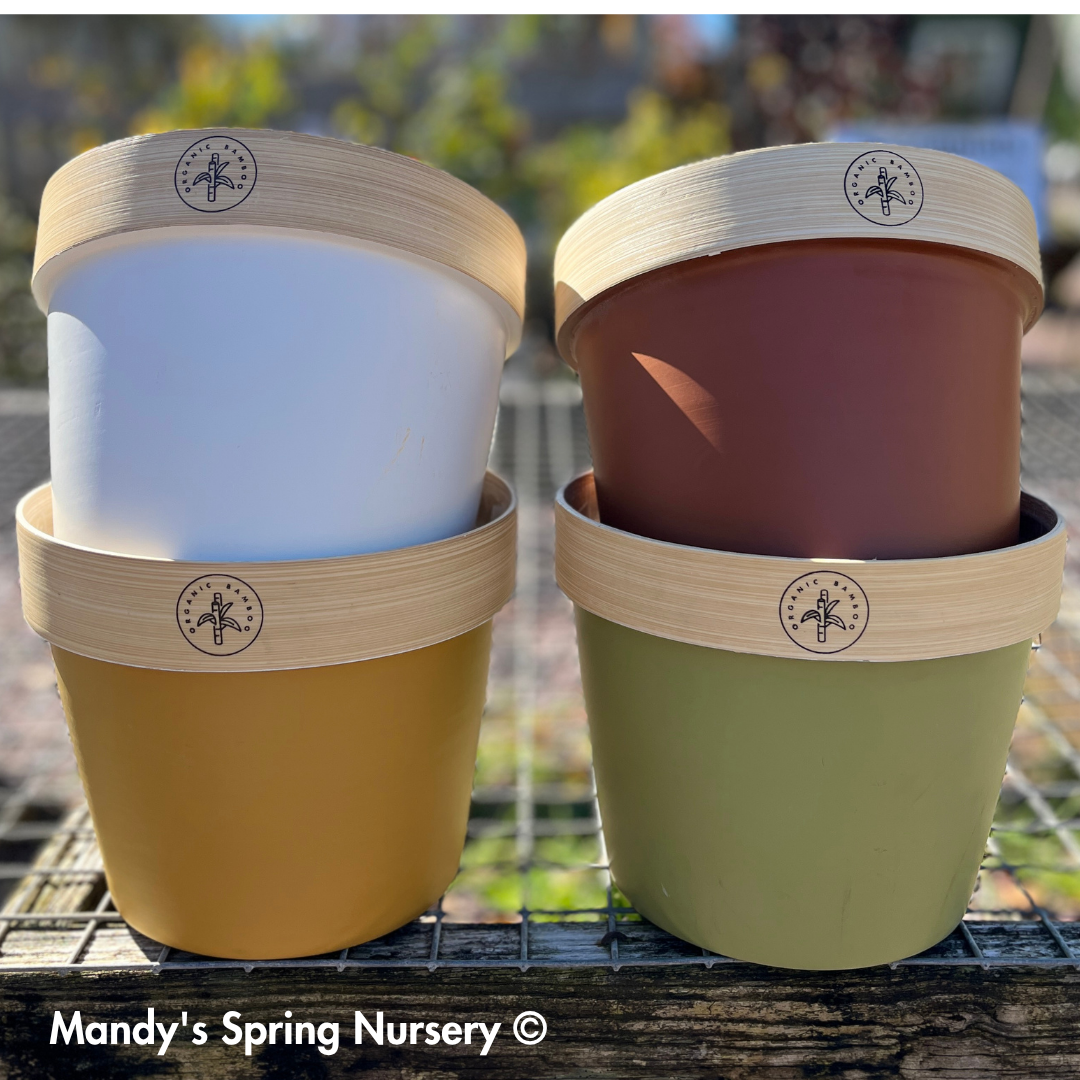 Bamboo Flower Pot – Mandy Spring Farm Nursery, Inc.