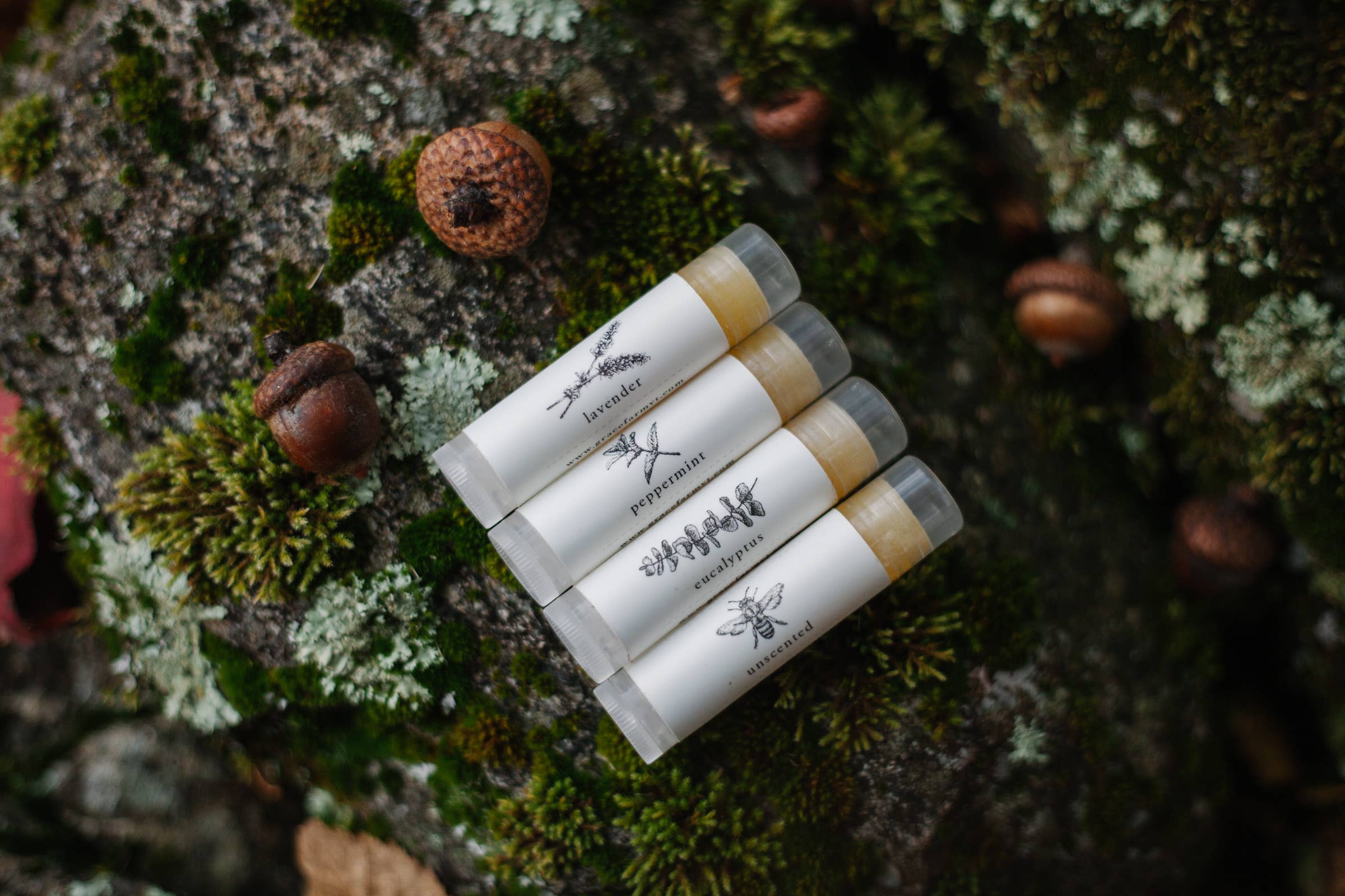 Beeswax Lip Balm – Mandy Spring Farm Nursery, Inc.