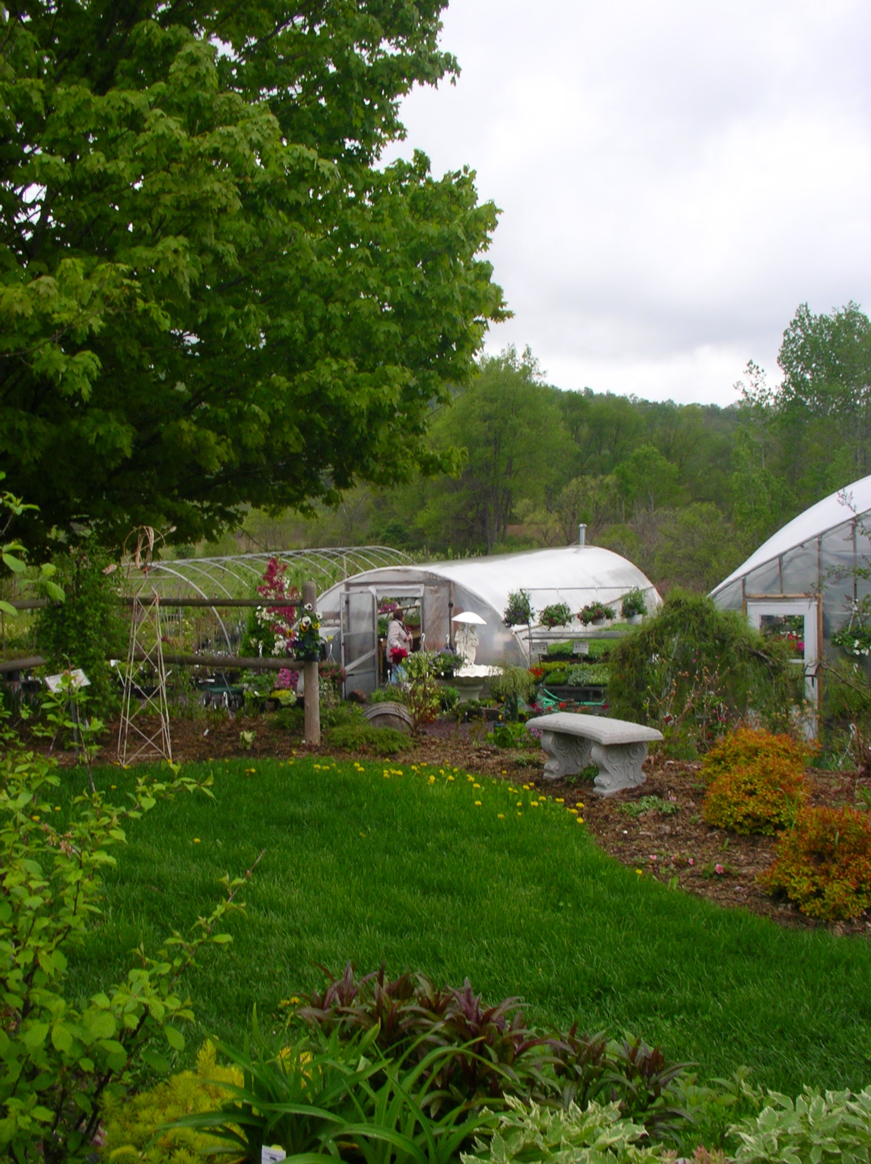 OUR STORY – Mandy Spring Farm Nursery, Inc.