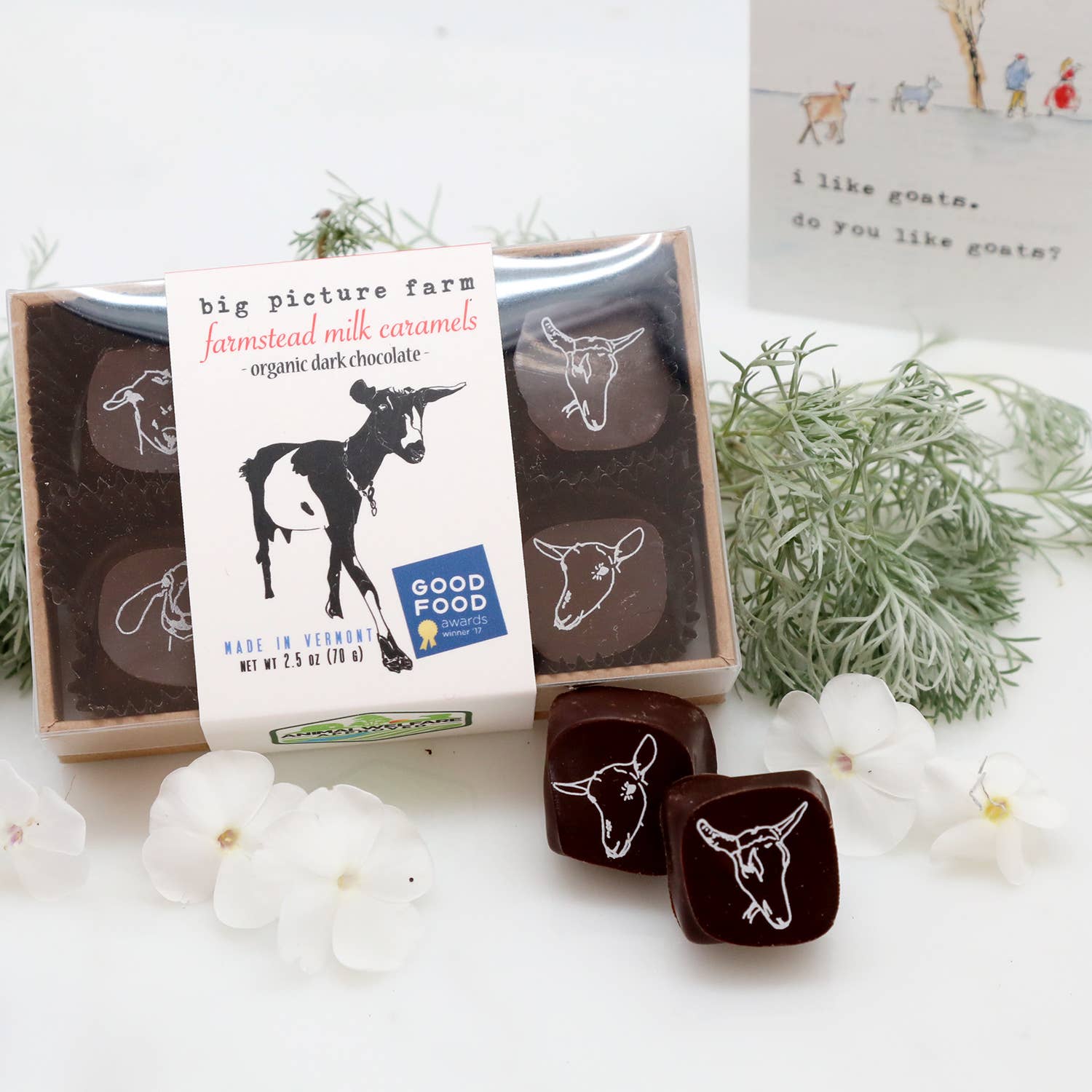 Chocolate Covered Goat Milk Caramel – Mandy Spring Farm Nursery, Inc.