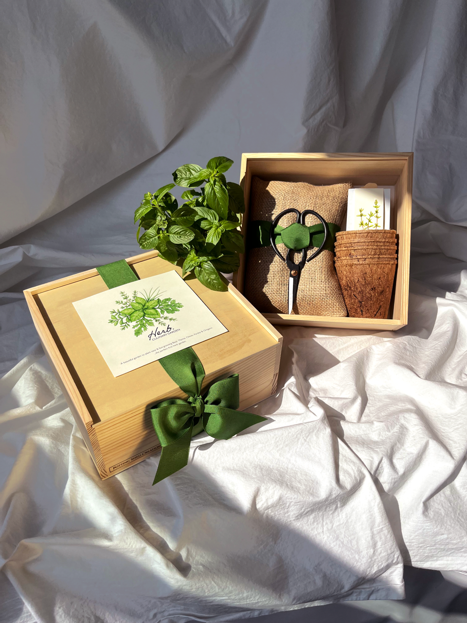 Culinary Herb Garden Box | Holiday Gift for Gardeners – Mandy Spring ...