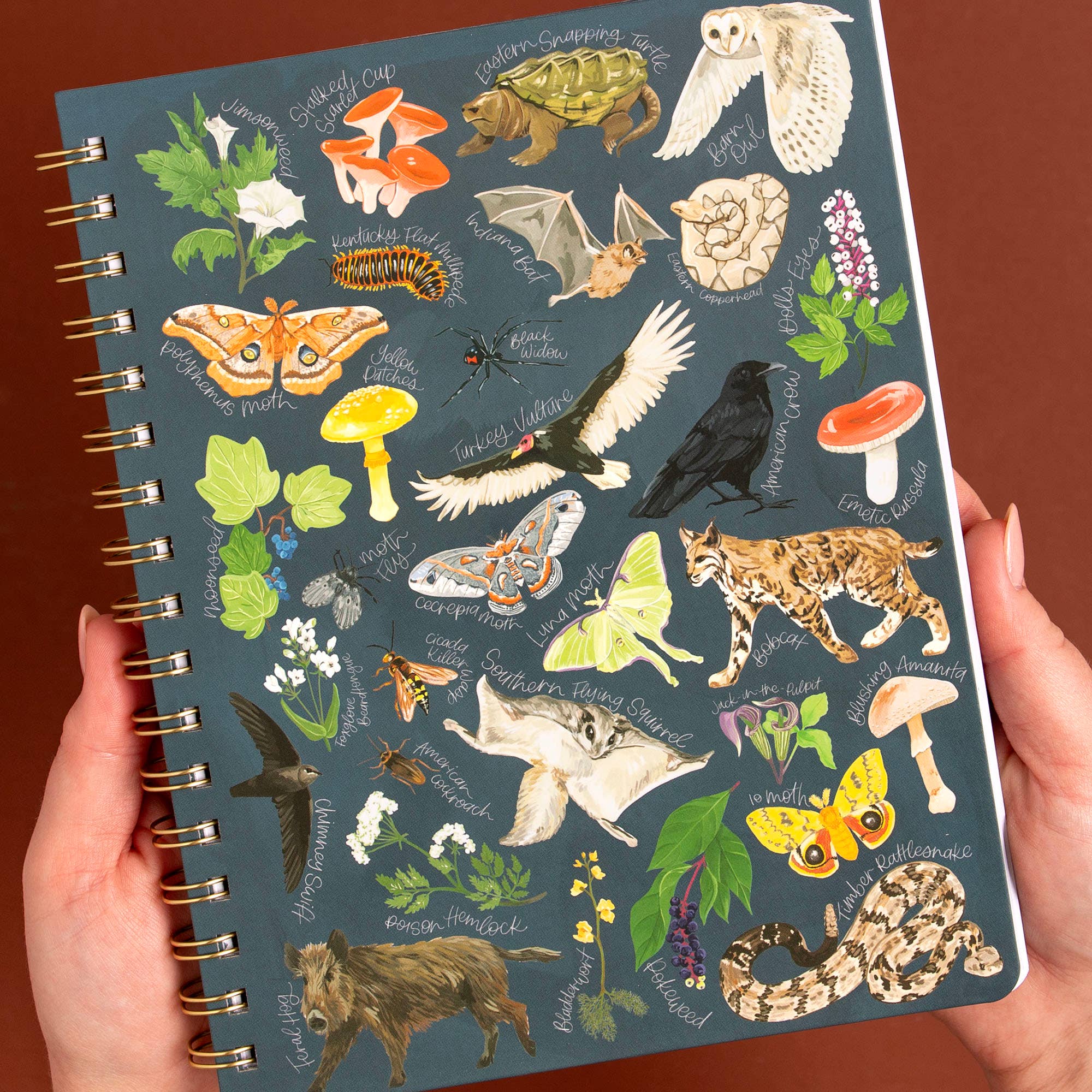 Midnight Flora & Fauna Spiral Notebook – Mandy Spring Farm Nursery, Inc.