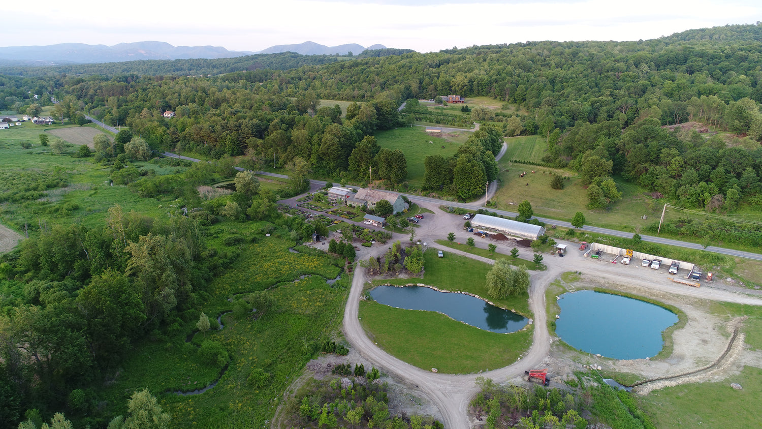 OUR STORY – Mandy Spring Farm Nursery, Inc.