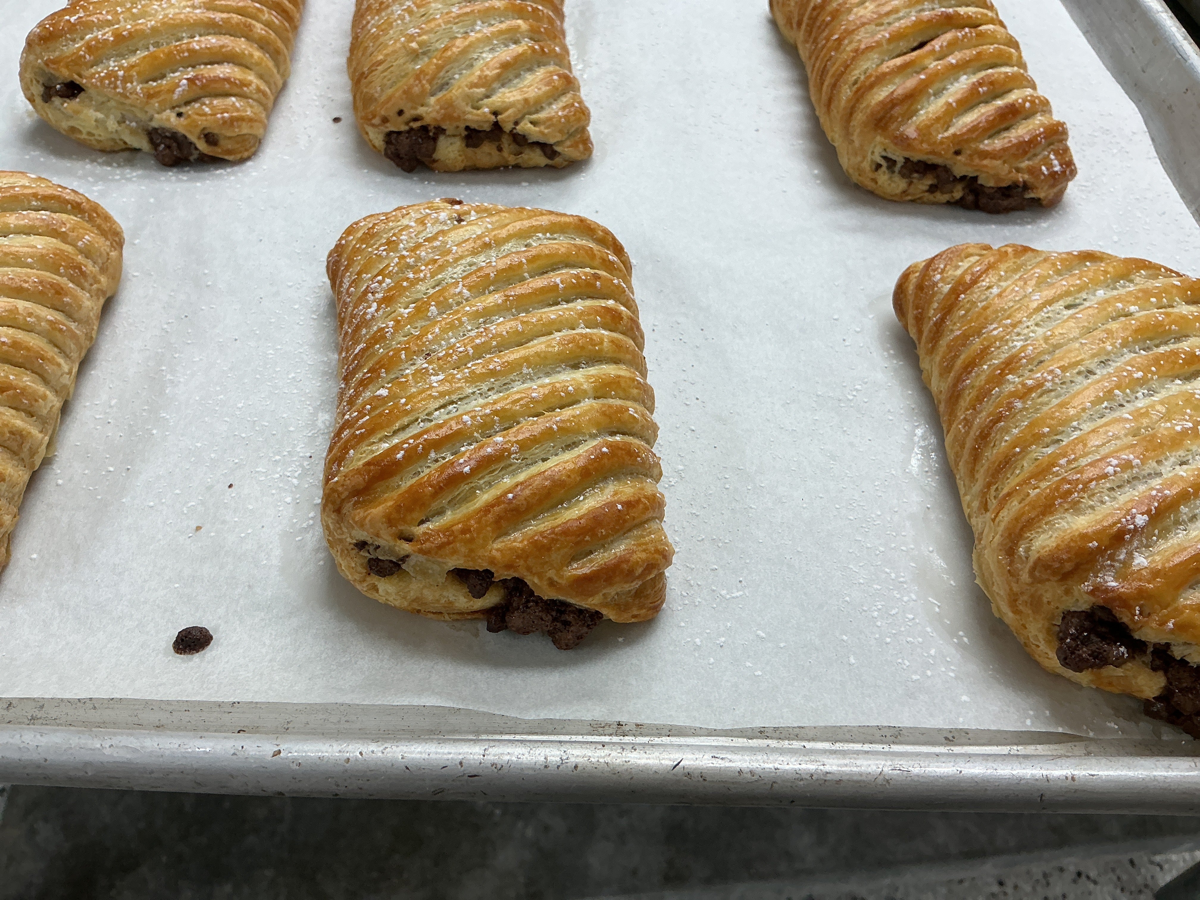 Chocolate Croissant – Mandy Spring Farm Nursery, Inc.