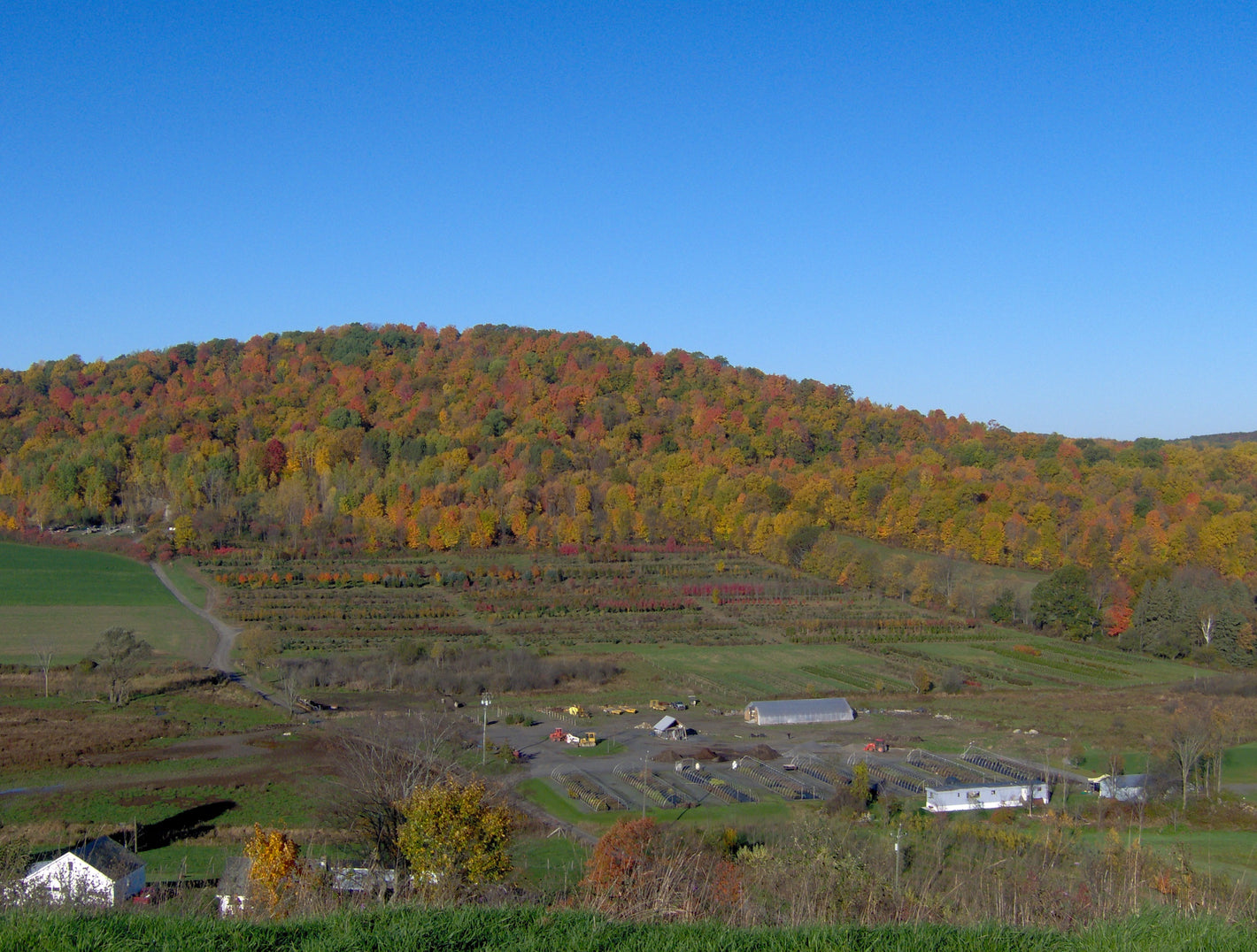 OUR STORY – Mandy Spring Farm Nursery, Inc.