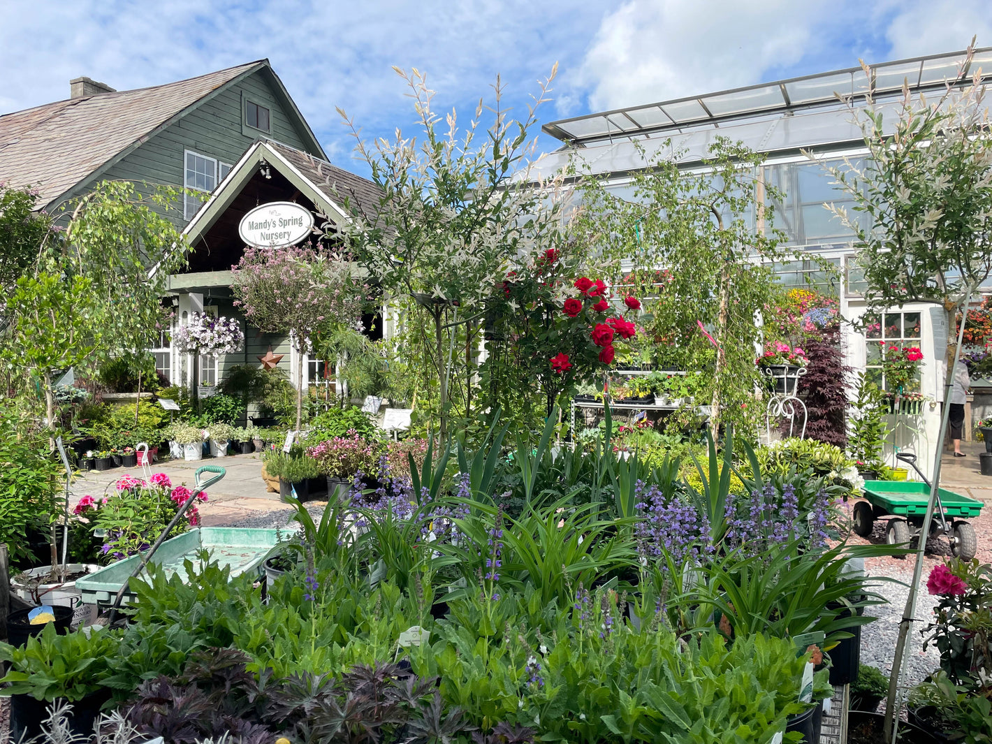 OUR STORY – Mandy Spring Farm Nursery, Inc.
