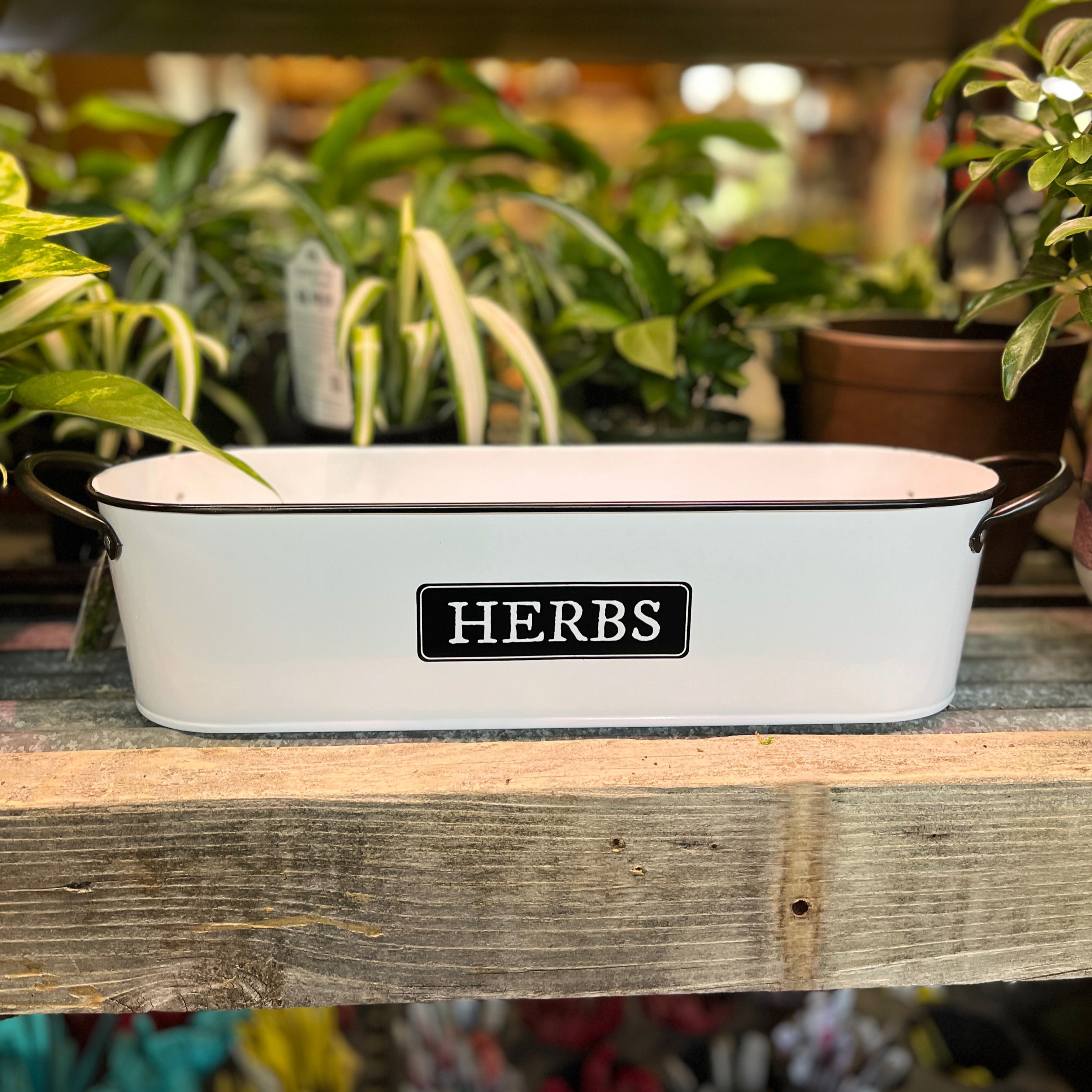 Milkhouse Herbs Oval Planter – Mandy Spring Farm Nursery, Inc.