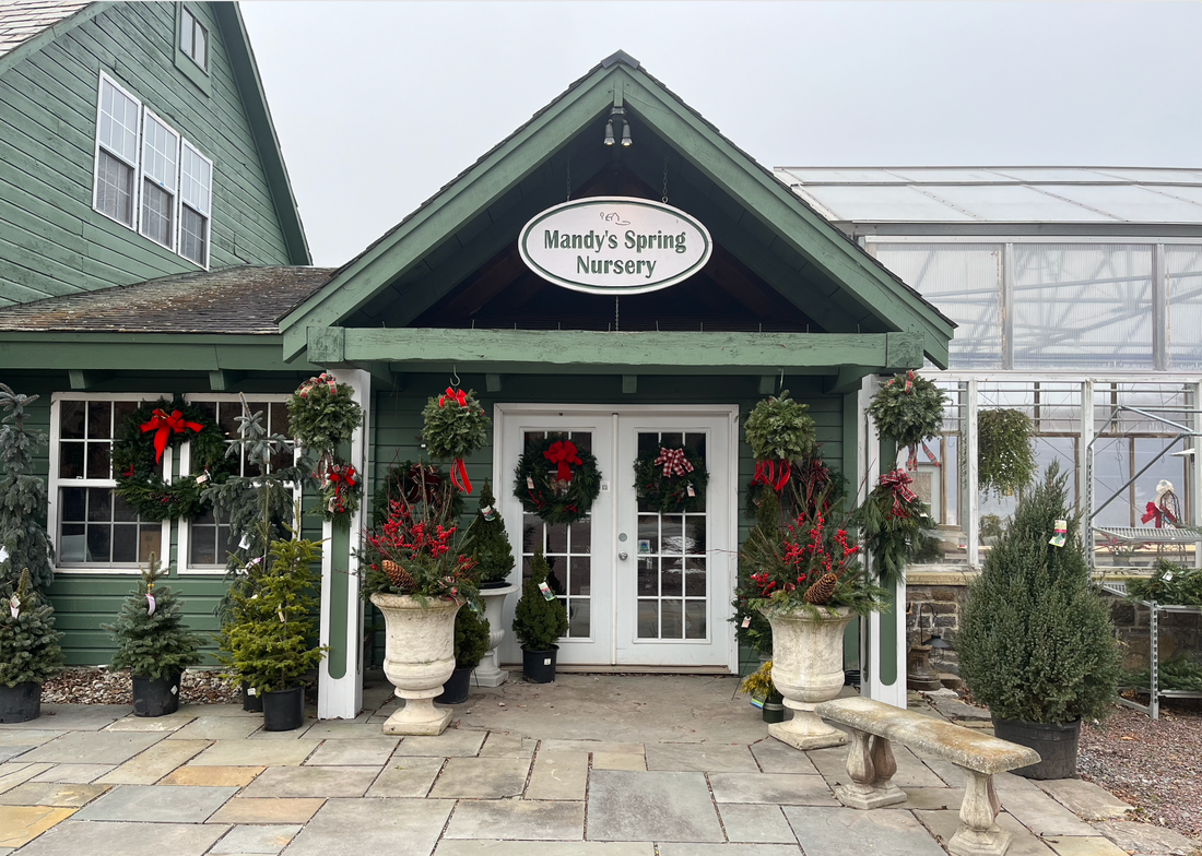 Mandy's Spring Nursery & Florist – Mandy Spring Farm Nursery, Inc.