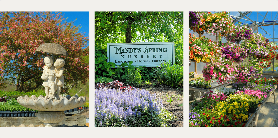Mandy's Spring Nursery & Florist – Mandy Spring Farm Nursery, Inc.