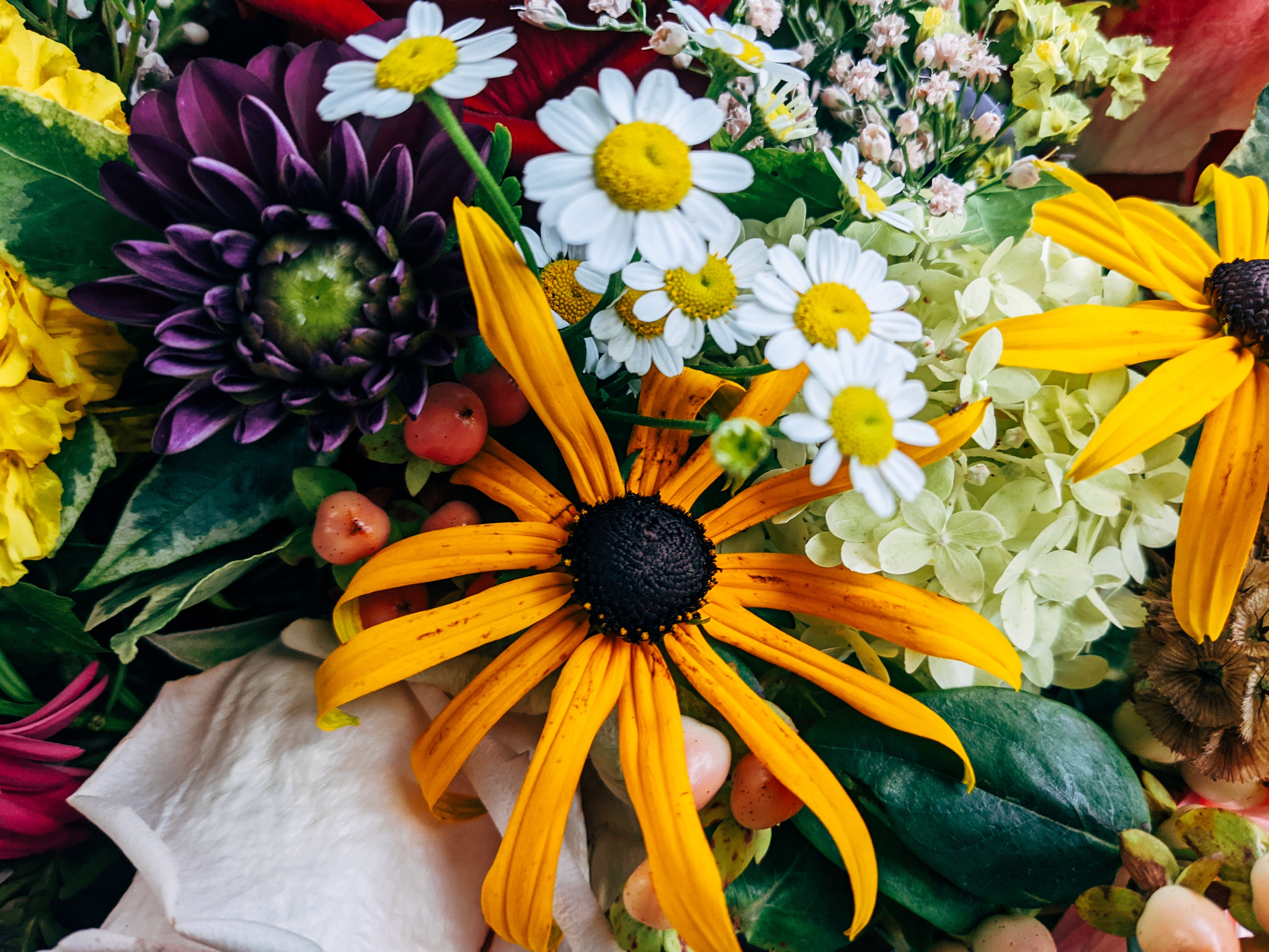 Florist at Mandy's Spring – Mandy Spring Farm Nursery, Inc.