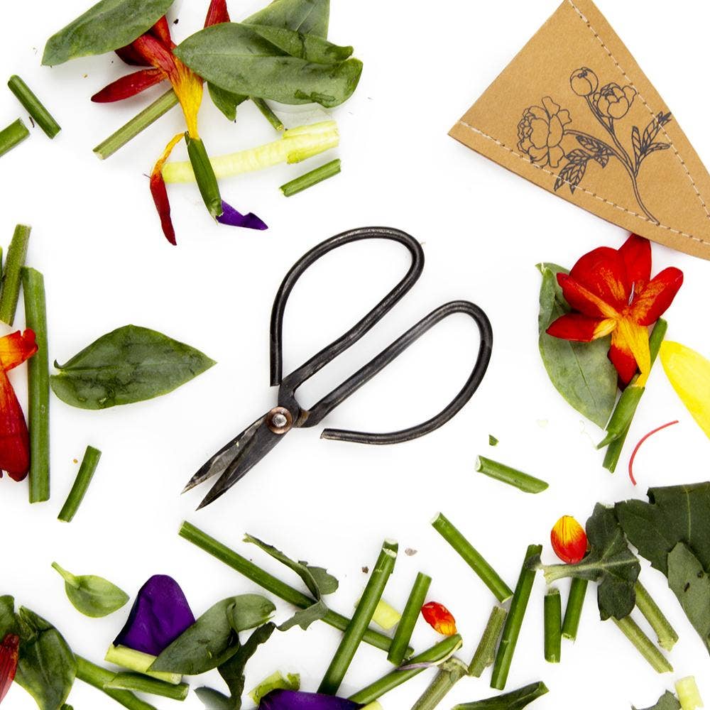 Edward Plant Scissors/ Gardening Plant Accessories – Mandy Spring Farm ...