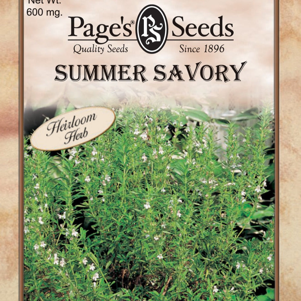 Winter Savory Herb
