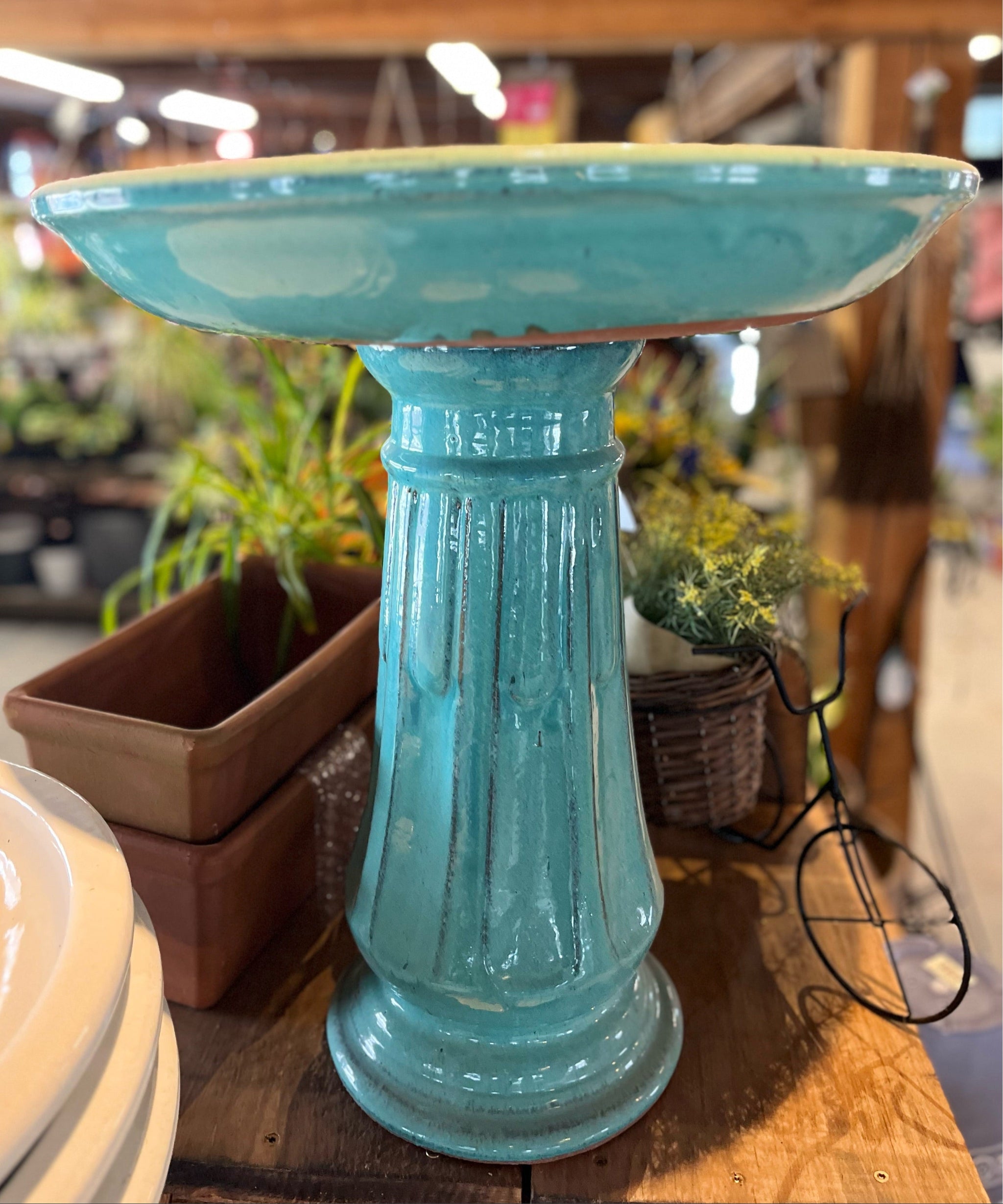 Southern Patio Miami Bird Bath – Mandy Spring Farm Nursery, Inc.